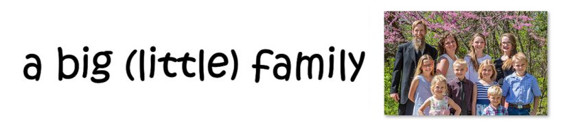 Best Moms with Big Families Bloggers Websites